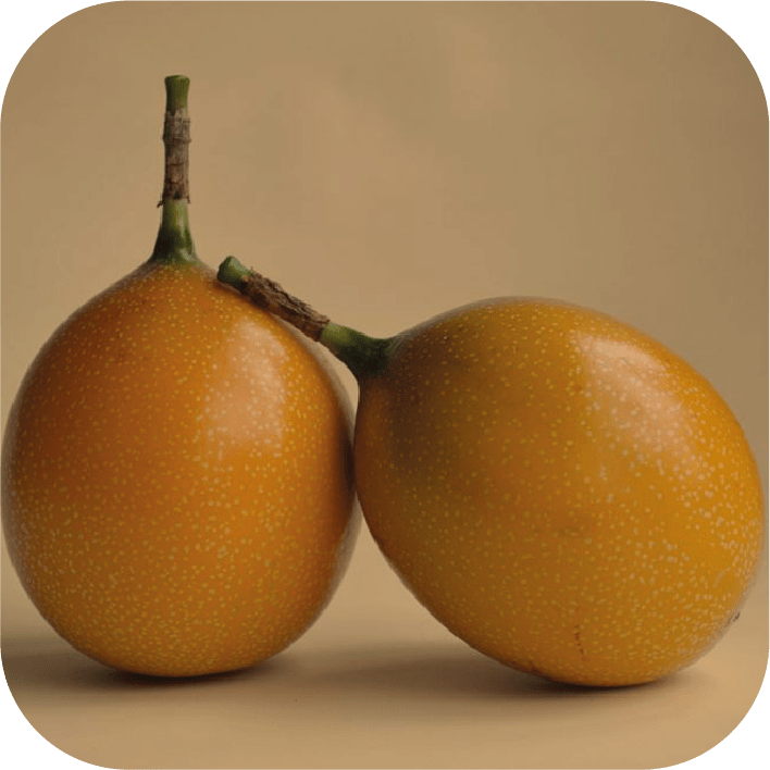 BioHerbs